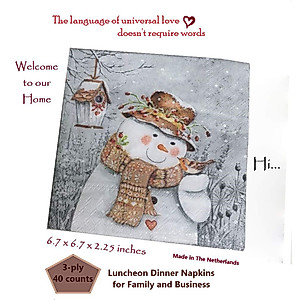 20-ct 13x13 Christmas Napkins with Snowman Napkins Christmas Paper Napkins Christmas Napkins Paper Christmas Cocktail Napkins Thanksgiving Napkins Decorative Decoupage Bird Winter Napkins