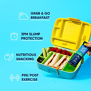 IQBAR Brain and Body Plant Protein Bars - Wild Blueberry - 12 Count, Low Carb, High Fiber, Gluten Free, Healthy Vegan Snacks - Low Sugar Keto Bar Pack