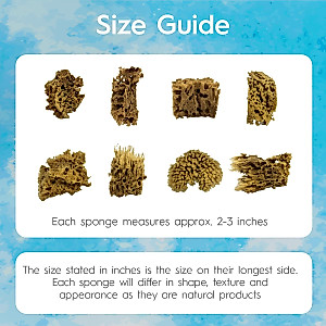 NAROA Artist Natural Sea Sponges for Painting 8 Pack | Unbleached Unique Sponges Set | Acrylic Watercolor, Marbling, Texturing, Pottery, Ceramics