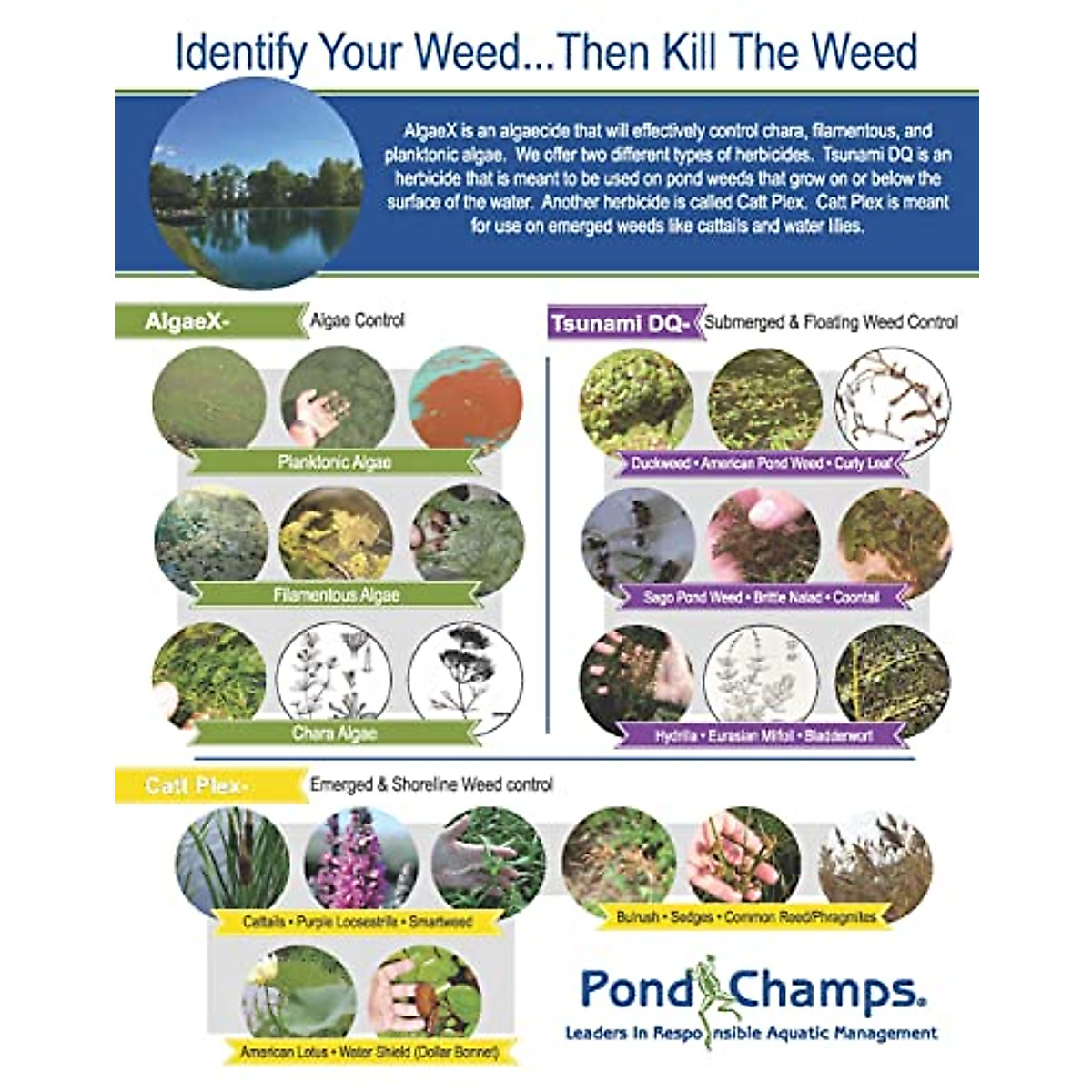 Pond Champs Blue Lake and Pond Dye - One Gallon of Professional Lake & Pond Dye - Treats Up to 1 Acre - Royal Blue Color - Safe for Fish, Wildlife, Pets & Children