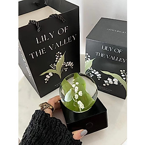 MISS LI GARDEN Forever Flower Special Edition,Lily of The Valley, White Base, Elegant Present for Girlfriend Wife Mom Women Enchanted Birthday Anniversary Wedding Home Décor