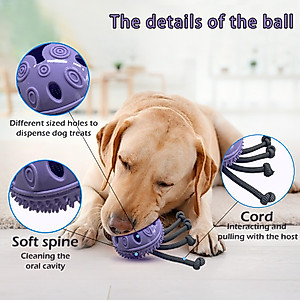 3-in-1 Dog Toy, Floating Dog Toy,Dog Water Toy for Pool & Beach, Dog Chew Teeth Cleaning Toy for Aggressive Chewers,Natural Jellyfish Leaky Food Toy for Large Medium Small Dog (2 Pack)