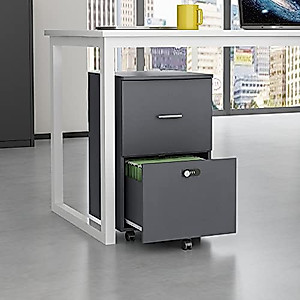 WelFurGeer File Cabinet for Home Office, 2 Drawer Filing Cabinet with Coded Lock, Mobile File Cabinets for Legal/Letter/A4 File, Black