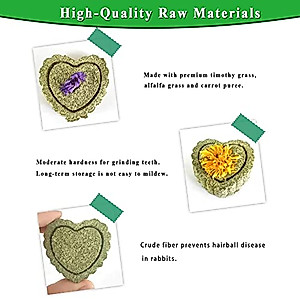 FIPASEN Rabbit Chew Toys for Teeth, 18PCS Natural Timothy Hay Chew Toy, Improve Dental Health for Bunny/ Chinchilla/ Guinea Pig/ Hamsters/ Holland Lop, Small Rodent Pet Molar Teeth Treats Toys