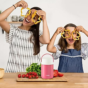 FEWOO Food Jar, 20oz Insulated Lunch Soup Container for Hot Cold Food for Kids Adults, Leak Proof Vacuum Stainless Steel Lunch Box with Folding Spoon for School Travel Outdoors (Pink)