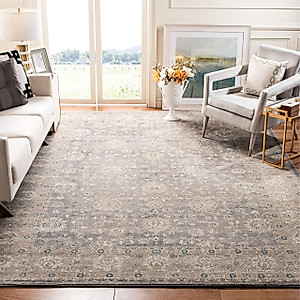 SAFAVIEH Sofia Collection 3' x 5' Light Grey/Beige SOF330B Vintage Oriental Distressed Non-Shedding Living Room Bedroom Accent Rug