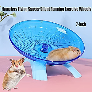 Hamiledyi Hamsters Flying Saucer Silent Running Exercise Wheels 10 Pcs Wooden Rainbow Gerbil House with Seesaw Small Animal Chew Toys for Teeth Care Molar Grass Cake Sweet Bamboo Snacks for Dwarf Mice