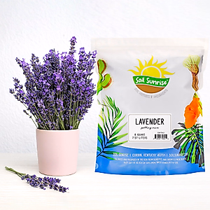 Lavender Potting Soil Mix (8 Quarts), Indoor/Outdoor Container Gardening Blend for Lavender Herb Plants