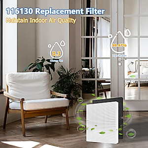 Improvedhand 116130 Filter H Replacement for Winix 5500-2 and AM80 Air Puri-fier, Include 1 Set H13 True HEPA Filter and Activated Carbon Odor Filter