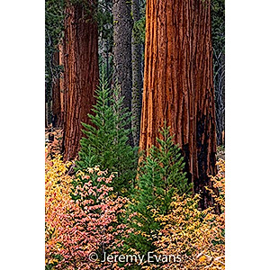 Sierra Club Engagement Calendar 2021