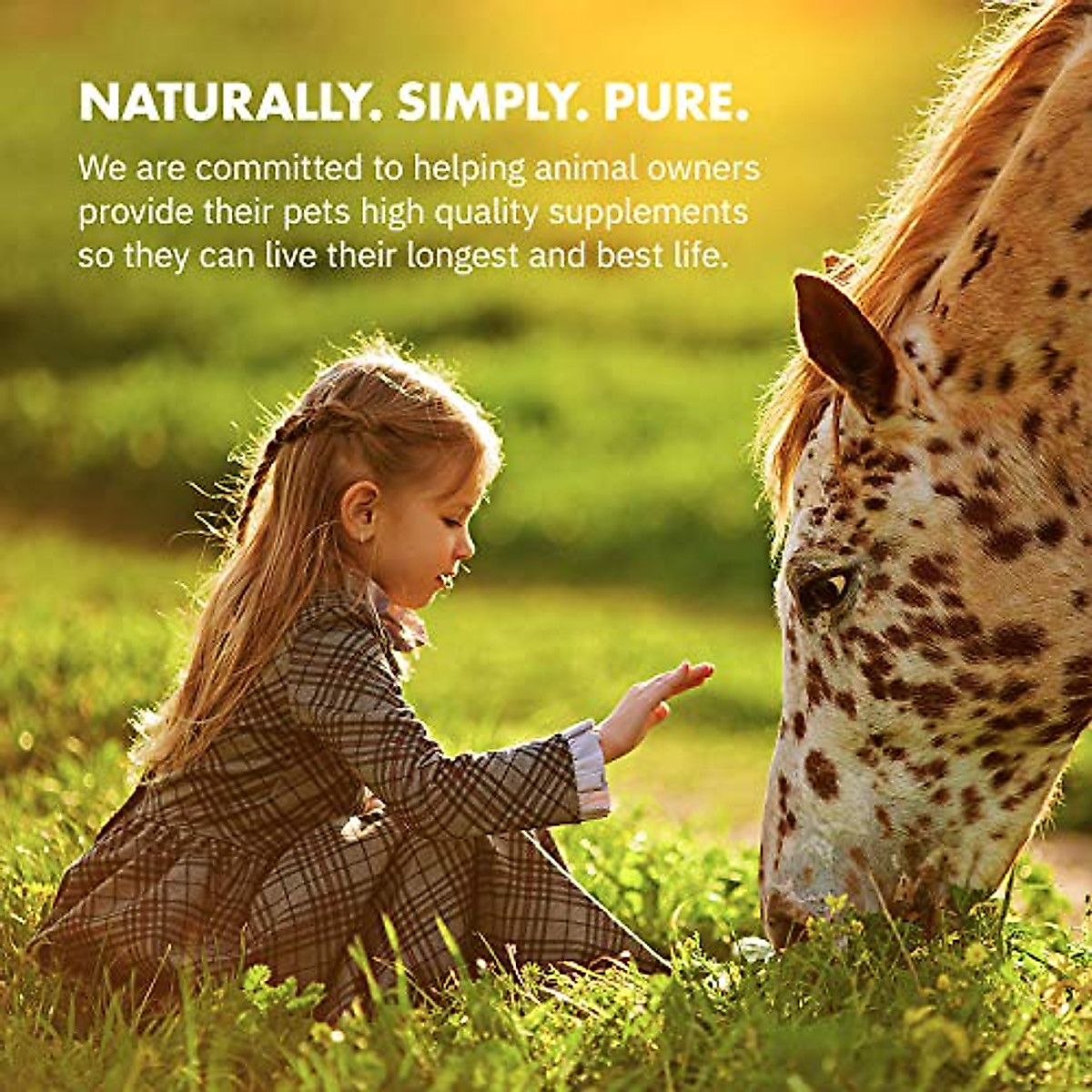 Equa Holistics HealthyGut™ Probiotics for Horses Dietary Supplement, All-Natural Digestive System Maintenance Formula (30 Days)