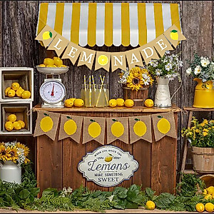 Lemonade Banner Lemonade Stand Sign Lemonade Stand Supplies for Lemonade Stand Decorations Lemon Garland Summer Birthday Lemonade Decor Lemon Party Decorations Lemon Themed Party Decor