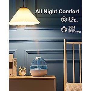 2L Cool Mist Humidifier for Bedroom with Nightlight, 30H Runtime, 360° Nozzle, Auto Shut-Off, Easy to Fill and Clean, Ideal for Home and Baby Nursery