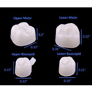 100 PCS Mixed Dental Temporary Crown Kit Anterior Front & Molar Posterior 50 of each