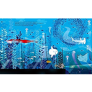 Deep in the Ocean: A Board Book