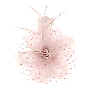 Litter Star Women Fashion Kentucky Derby Fascinators Pillbox Cocktail Headband Headwaer Hat for Wedding and Tea Patry (2-Dark Pink)