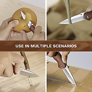 BARRYSAIL Small Pocket Knife, Folding Knife with 2.4 Inch Blade, Liner Lock, Wood Handle for EDC, Outdoor Camping, Survival (Polished)