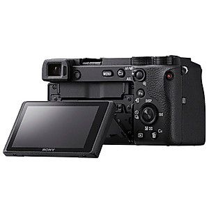 Sony a6600 Mirrorless Camera 4K APS-C Body Only Interchangeable Lens Camera ILCE-6600B with Deco Gear Case + Extra Battery + Flash + Wireless Remote + 64GB Memory Card + Software + Accessories Bundle