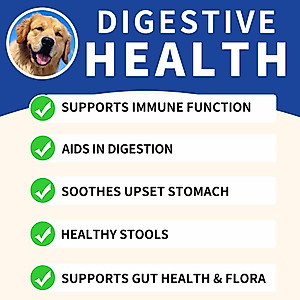 Baaww Probiotics for Dogs, Support Gut Health, Diarrhea, Seasonal Allergies, Paw Licking, Digestive Health Enzymes, 90 Pork Chews Allergy & Immune Supplement for Dogs Anal Gland Soft Chew Treats