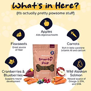 Smarty Pup Salmon Jerky - 5 oz of Fruit, Veggies, and Salmon Dog Treats – Puppy Jerky Made with Apples, Carrots, Sweet Potato, Wild Alaskan Salmon, Blueberries, Cranberries, and More