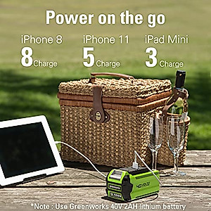 Greenworks 40V 12" Chainsaw, 2.0Ah Battery and Charger Included (Gen 2)