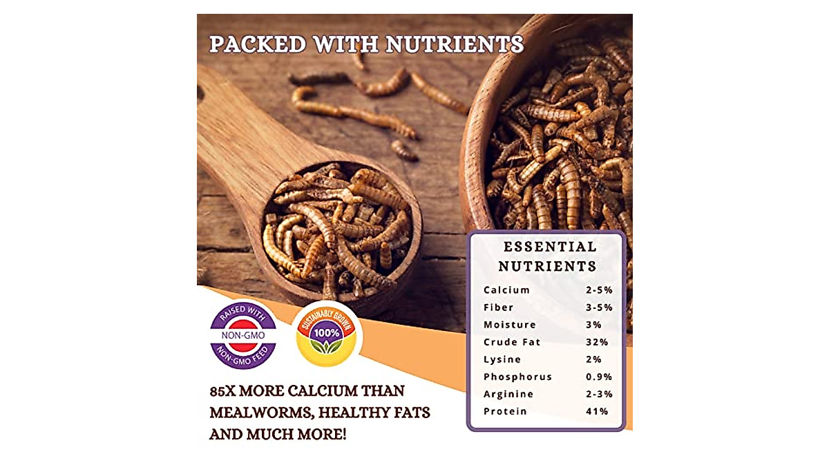 PICKY NEB Dried BSF Larvae Grubs - High-Protein Treats