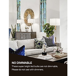 Eastiya A19 LED Light Bulbs 100 Watt Equivalent Daylight 5000K, 13W 1500LM Super Bright LED Bulb, E26 Base, Energy Saving, 20000+ Hours Longevity, Non-Dimmable, No Flickering, 4-Pack