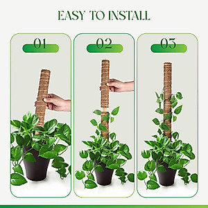 Pisol Moss Pole for Plants Monstera, Extendable Plant Sticks Support, Plant Stakes for Indoor Potted Plant, 15.7'' Coco Coir Pole Plant Trellis for Sphagnum, Pothos and Other Climbing Plants(2 PCS)