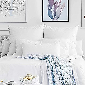 Empyrean Bedding Throw Pillow - 12 x 18 Inches Decorative Pillow Insert - Cotton Blend Outer Shell Indoor & Outdoor Pillows (Pack of 2, White)