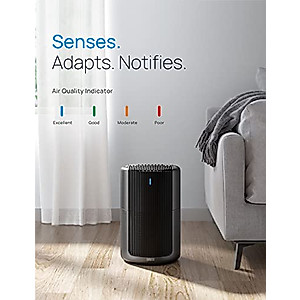 Dreo Air Purifiers for Bedroom Home Large Room, H13 True HEPA Filter for Allergies Pets, 283 ft² Coverage, 20dB Quiet Operation with 360° Filtration, Graphite, 9.84 * 9.84 * 15.2, (DR-HAP002DB)