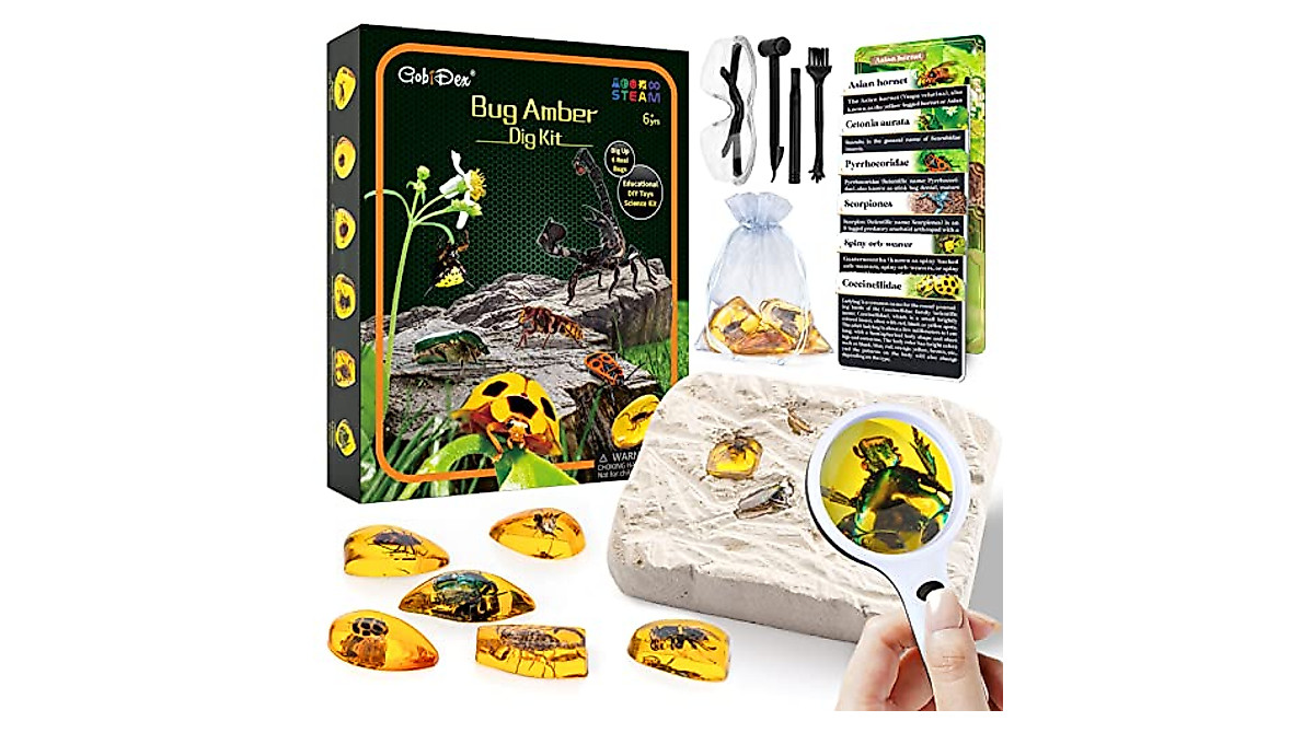 GobiDex Amber Dig Kit: Excavate 6 Insect Specimens for STEM