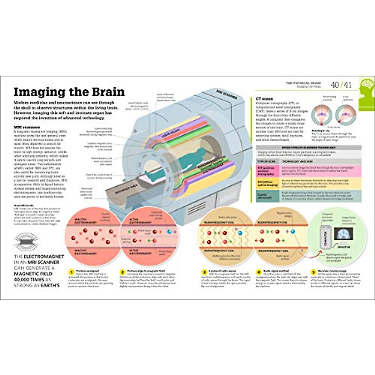 How the Brain Works: The Facts Visually Explained (DK How Stuff Works)