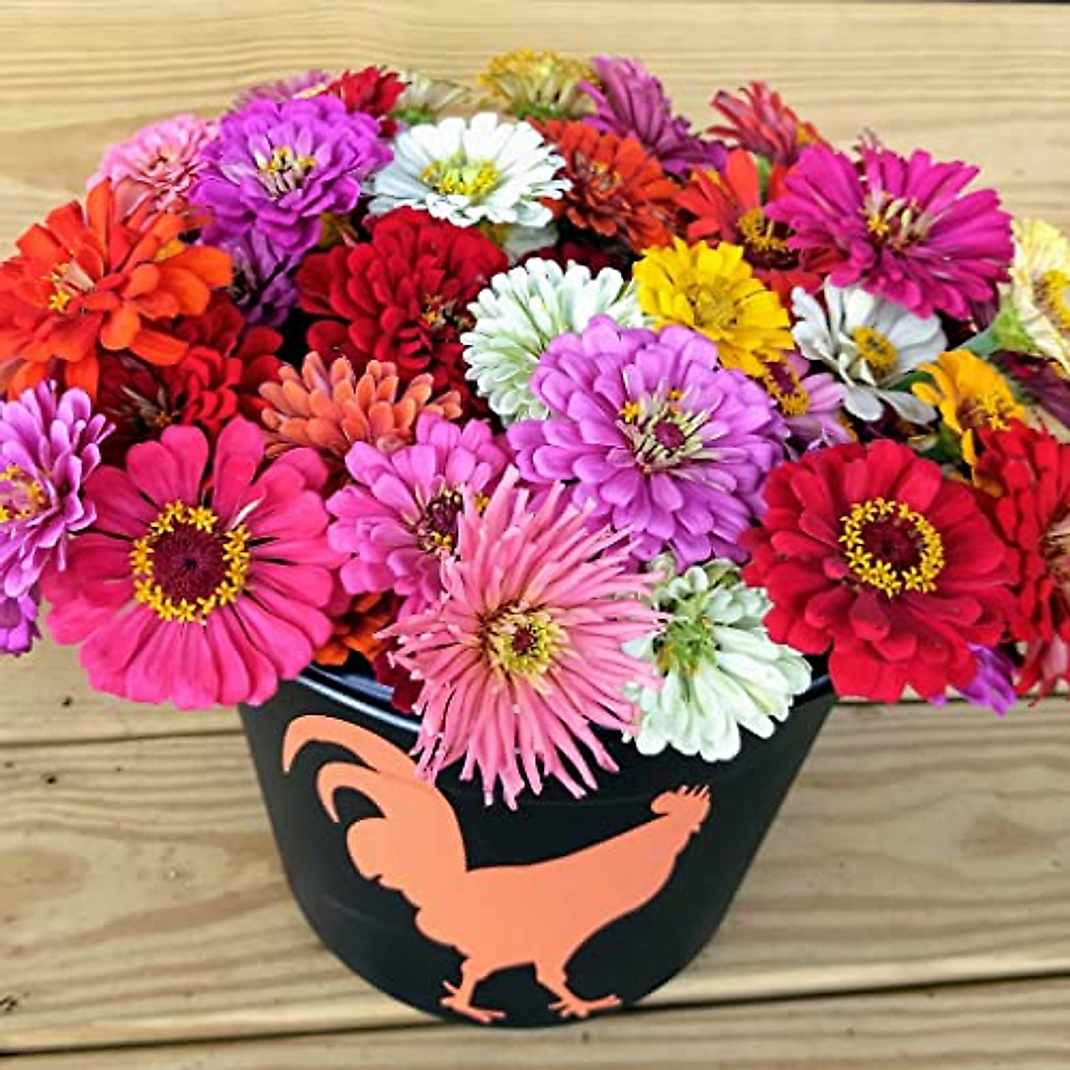 Zin Master - Zinnia Flower Seed Mix - 1 Pound - Mixed Wildflower Seeds, Attracts Bees, Attracts Butterflies, Attracts Hummingbirds, Attracts Pollinators, Easy to Grow & Maintain, Cut Flower Garden