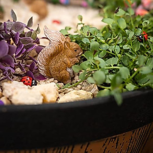 PRETMANNS Fairy Garden Fairies Figurines - Fairy for Fairy Gardens - Fairy Garden Accessories - Miniature Garden Fairy Bella & Outdoor Fairy Garden Supplies - Fairy Garden Starter Kit - 14 Pieces