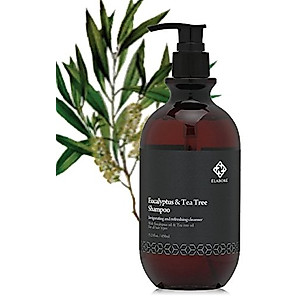 Elabore Eucalyptus & Tea Tree Shampoo & Treatment Set (15.21 fl.oz / 450 ml)
