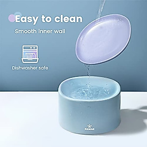 Pawaii Ceramic Cat Bowl, Combined Type Elevated Cat Bowl, Whisker Fatigue Cat Bowl, Dishwasher and Microwave Safe, One Elevated Cat Bowl and One Dish