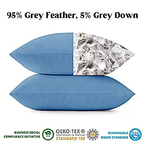 puredown® Outdoor Waterproof Throw Pillows, 16 x 16 Inch Feathers and Down Filled Decorative Square Pillows for Garden Patio Bench, Pack of 2, Blue