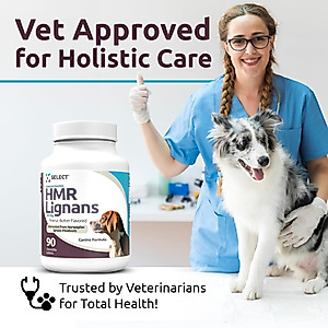 K9 Select HMR Lignans for Dogs - Enhancer for Overall Wellness, Immune Support for Dogs - Norway Spruce Extract Holistic Dog Health - Digestion, & Coat Care - Peanut Butter, 20mg, 90 Tablets