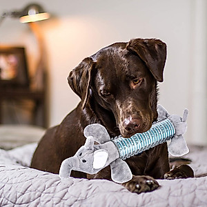 CCDAY Plush Squeaky Dog Chew Toys 3 Packs, Indestructible Tough Durable Dog Toothbrush Toys for Small and Medium Dogs Natural Material Dental Care Puppy Toys (Gray)