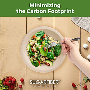 [500 COUNT]Sugarfiber by Harvest Pack 10-inch Round Disposable Compostable Paper Plates, Heavy-Duty Natural Bagasse Biodegradable Plate, Made From Eco-Friendly Sugarcane Plant Fibers