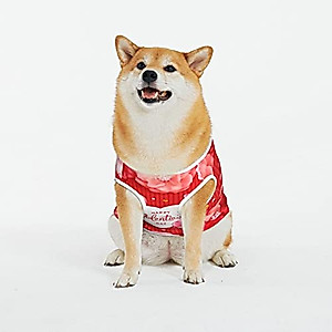 Red Love Heart Flowers Dog Puppy Cotton T-Shirt, Valentines Day Breathable Pets Apparel for Kitty Cats Dogs All Seasons 2XL