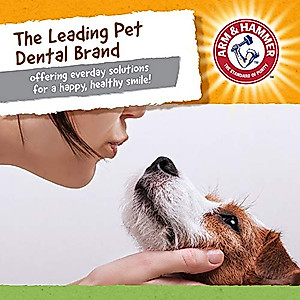Arm & Hammer for Pets Nubbies Dental Toys T-Rex Dental Chew Toy for Dogs Best Dog Chew Toy for Moderate Chewers Reduces Plaque & Tartar Buildup Without Brushing, Mint Flavor (Pack of 1)