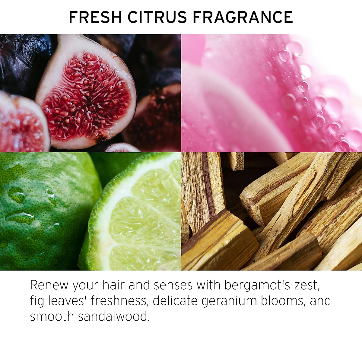 Fekkai Clean Stylers Sheer Dry Shampoo - 7.7 oz - Purifies the Scalp & Absorbs Oil, Dirt & Odors - Free of Sulfates, Parabens, Phthalates - Vegan, Cruelty-Free