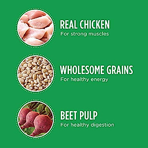 IAMS Adult High Protein Large Breed Dry Dog Food with Real Chicken, 30 lb. Bag