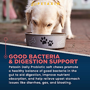 Petaxin Probiotics for Dogs - 6 Strains with Prebiotics - Supports Digestive and Immune System – Relief for Diarrhea, Bad Breath, Allergies, Gas, Constipation, Hot Spots - Made in USA - 120 Chews