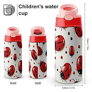 Stainless Steel Water Bottles Red Ladybug Travel Water Cups with Handle And Silicone Straw Drinking Cup with Leak Proof Lid Thermo Travel Mug for Women Men