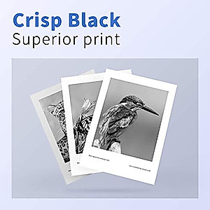 myCartridge PHOEVER Remanufactured Ink Cartridge Replacement for HP 62XL 62 XL for OfficeJet 200 250 Envy 5660 7640 7645 5740 5540 5642 5746 5642 5643 5745 5640 8000 Printer (Black, Tri-Color)