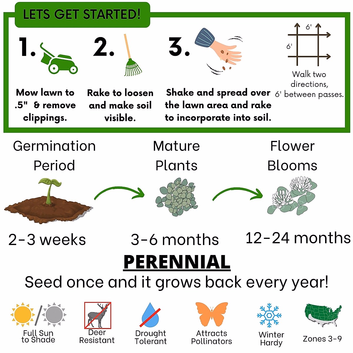 Flawn Seed Dutch White Clover Seed, Low Maintenance, Eco/Pollinator Friendly Flowering Lawn, Kid, Pet, Grass Alternative, Easy Open Compostable Pouch, Easy Spread Up to 500 SqFt