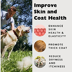 Nature's Diet Premium Beef Collagen Peptides Powder for Dogs & Cats, Joint & Skin Health Support