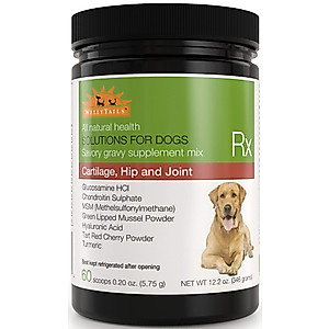 WellyTails Glucosamine Chondroitin MSM Turmeric Dog Joint Supplement for Large Dogs 12.2 oz. (60 Scoops)